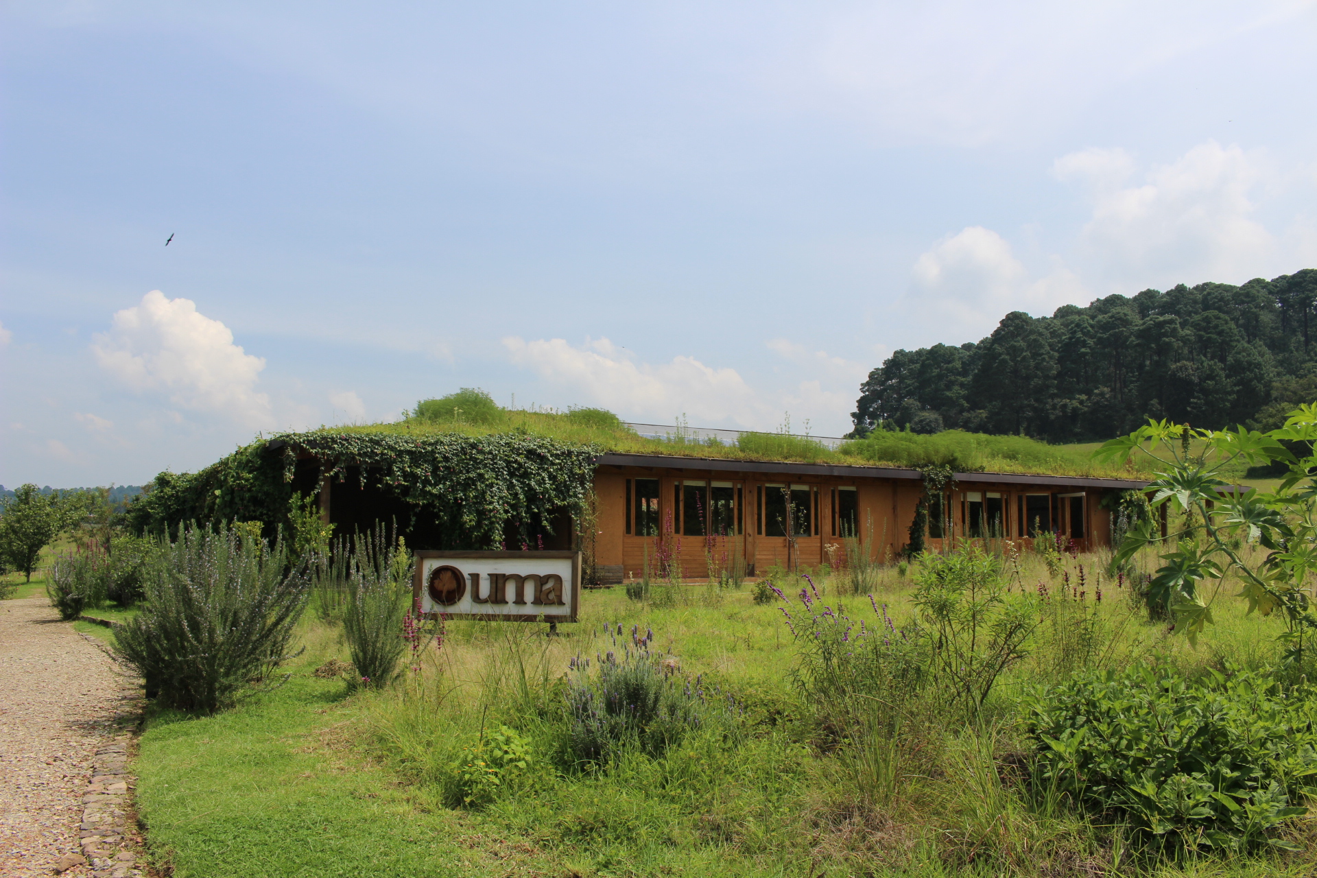 La certificación EDGE en la Universidad del Medio Ambiente ...