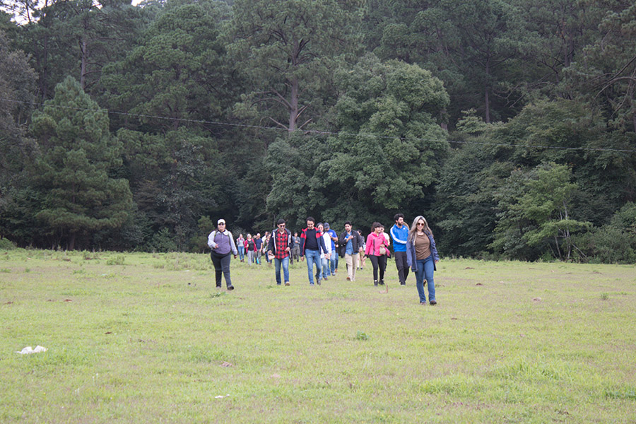 Estudiar en la UMA, transformación profesional y de vida - Universidad ...