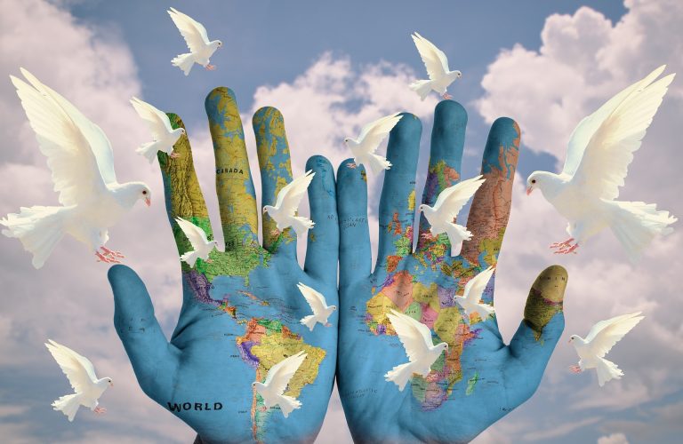 Paz y medio ambiente: un análisis de su vínculo – Universidad del Medio ...