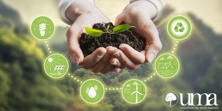 Paz y medio ambiente: un análisis de su vínculo – Universidad del Medio ...