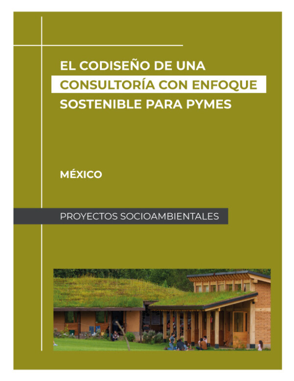 El codiseño de una consultoría con enfoque sostenible para PYMEs ...