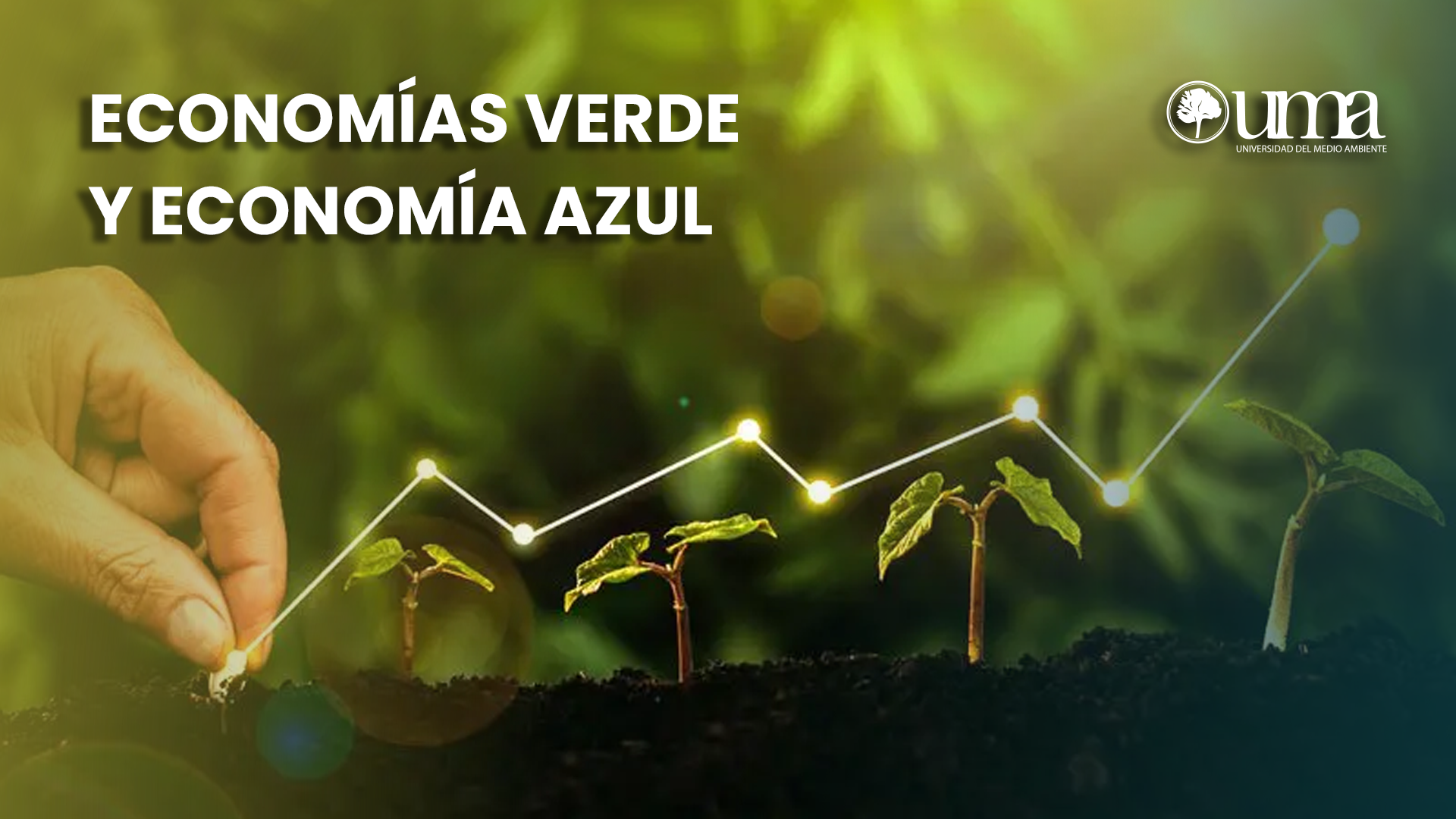 Economía Verde y Economía Azul - Universidad del Medio Ambiente