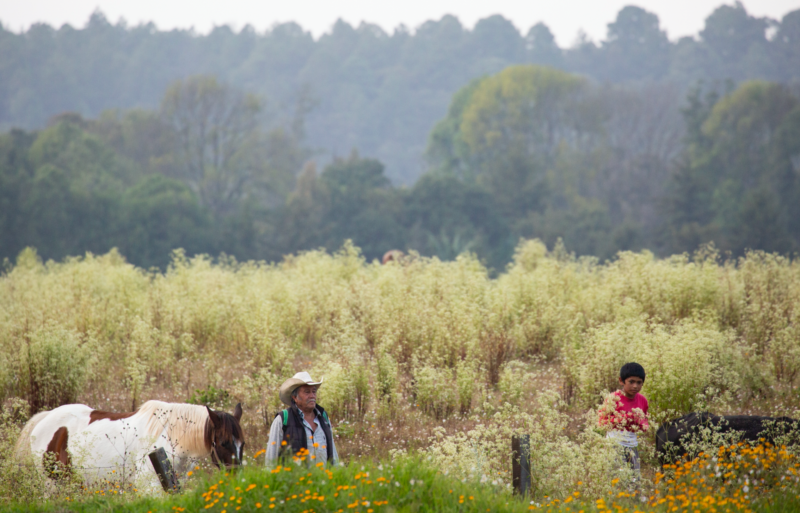 Turismo rural y cuidado del lugar - Universidad del Medio Ambiente